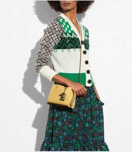 11 incredible Coach fall handbags in colors we're here for!