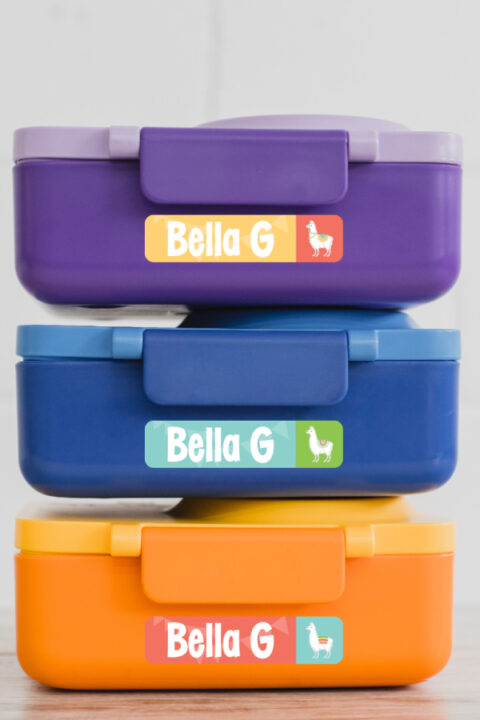 30 cool lunch box accessories for kids: Lots on sale!